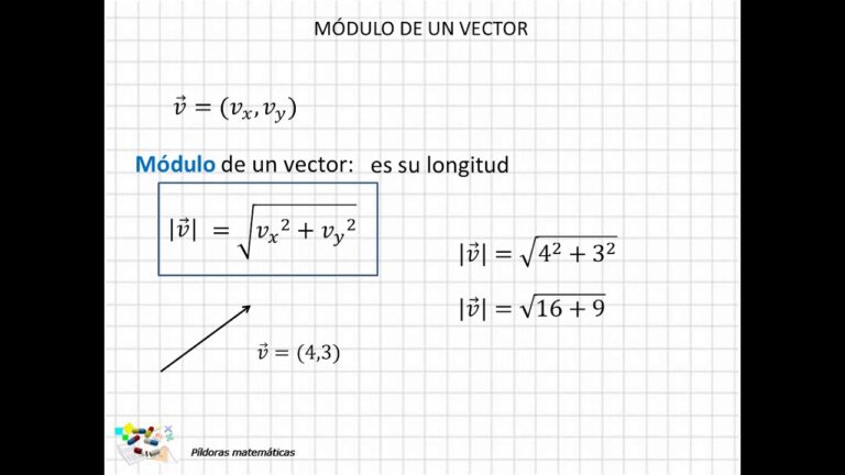 Guía completa: Cómo calcular el módulo de un vector paso a paso ...