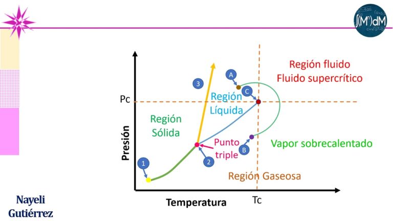 Guía completa sobre el diagrama de fases de sustancias puras ...