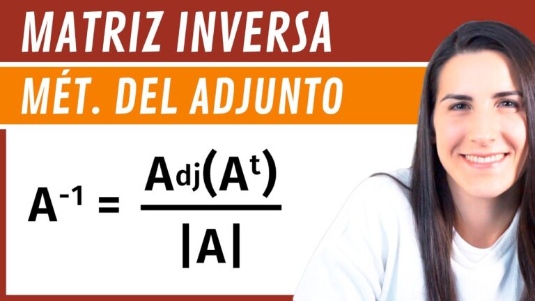 La guía definitiva para calcular la inversa de una matriz por ...