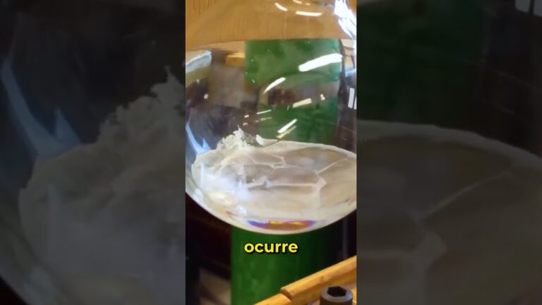 El oxígeno: descubre sus diferentes estados: sólido, líquido y gaseoso ...